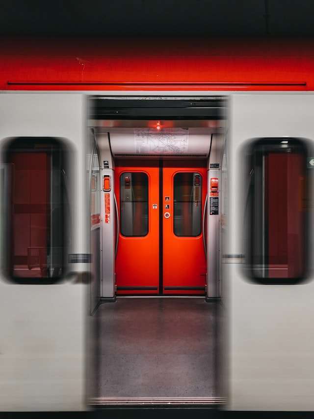 Фенотипы крови человека. ccDEE, CCDEe, ccddee, CcDEE, Ccddee, CCDEE ...